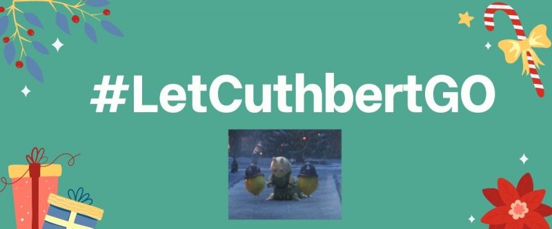 #LetCuthbertGO Aldi’s Cuthbert the Caterpillar NEEDS our help